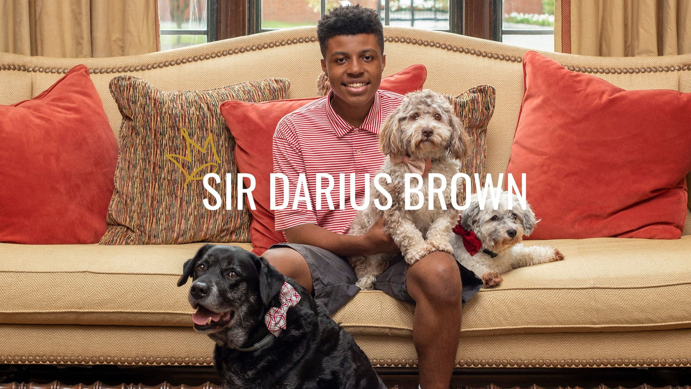 Meet Sir Darius – Sir Darius Brown